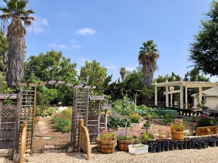 Little Parrot Farm 1 | Excellence In Education Homeschooling
